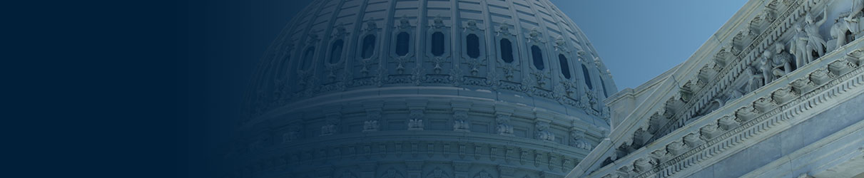 Ashok Pinto - National Security Institute